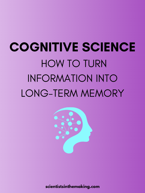 Cognitive Science: How to Turn Information into Long-Term Memory - Scientists in the Making